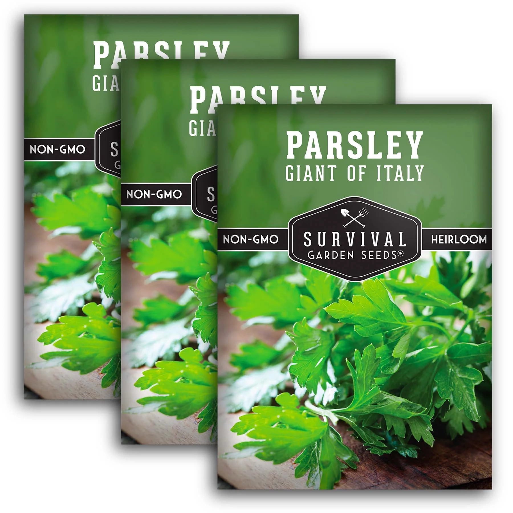 3 packs Italian Giant Parsley Seeds - Non-GMO Heirloom Full Sun ...
