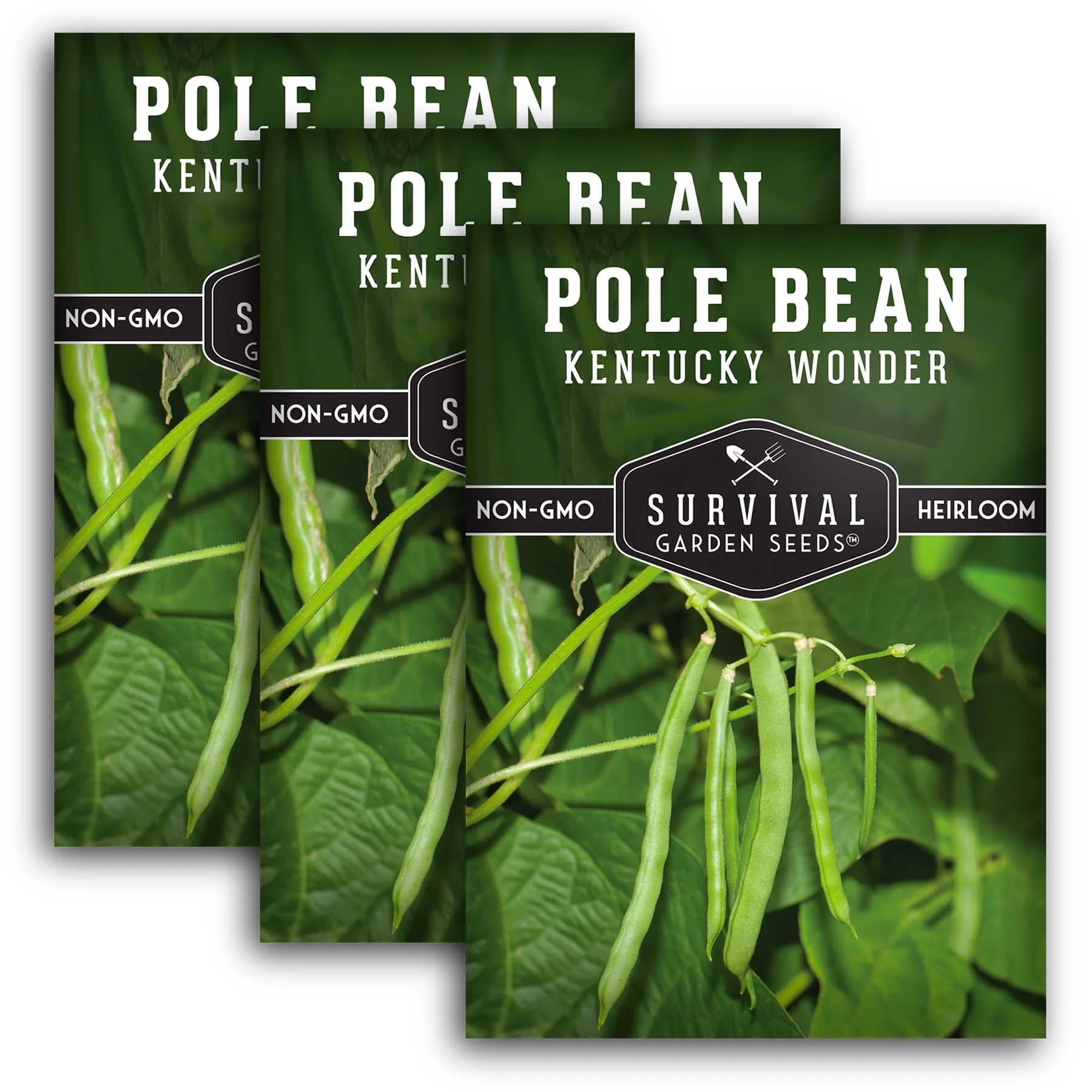 3 Packs Kentucky Wonder Pole Bean Seed - Non-GMO Heirloom Full Sun ...