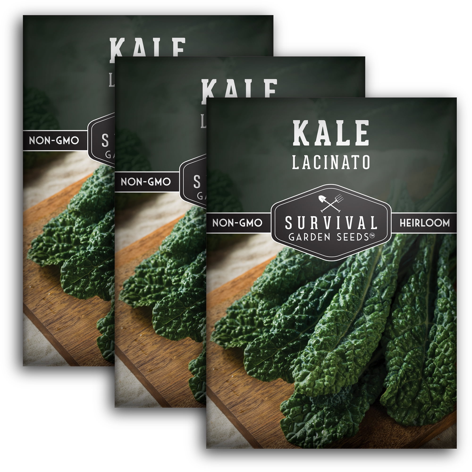 3 packs Lacinato Kale Seed - Non-GMO Heirloom Biennial Full Sun ...