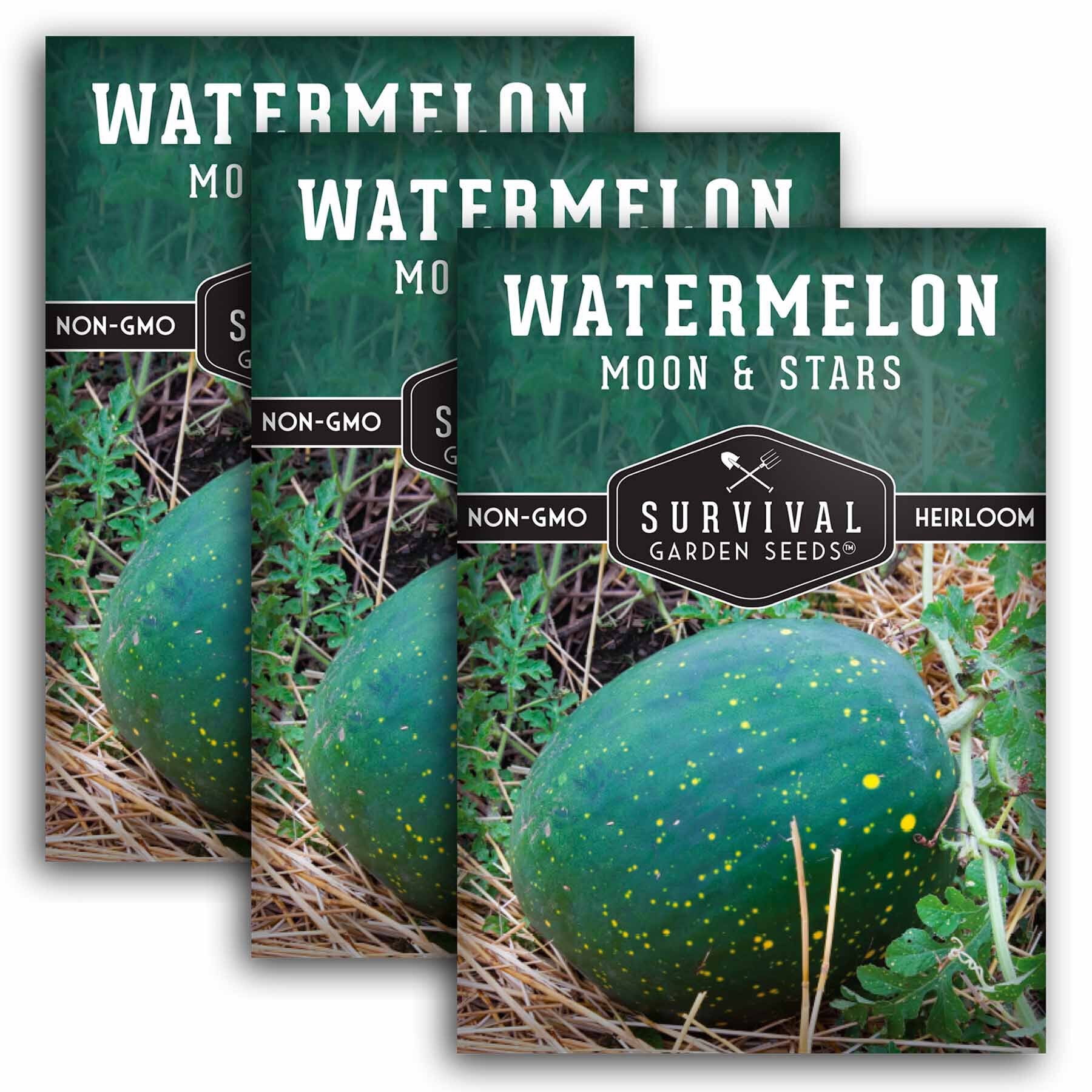 3 Packs Moon and Stars Watermelon Seeds - Non-GMO Heirloom Full Sun ...