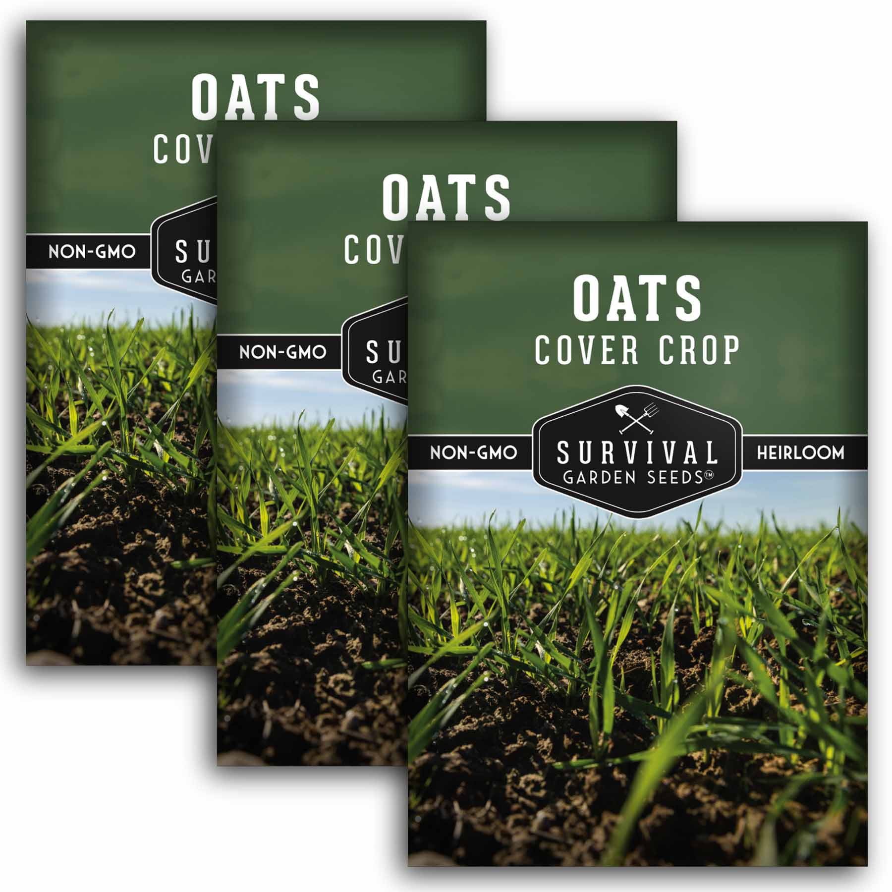 3 Packs Oats Cover Crop Seeds - Non-GMO Heirloom Annual Full Sun ...