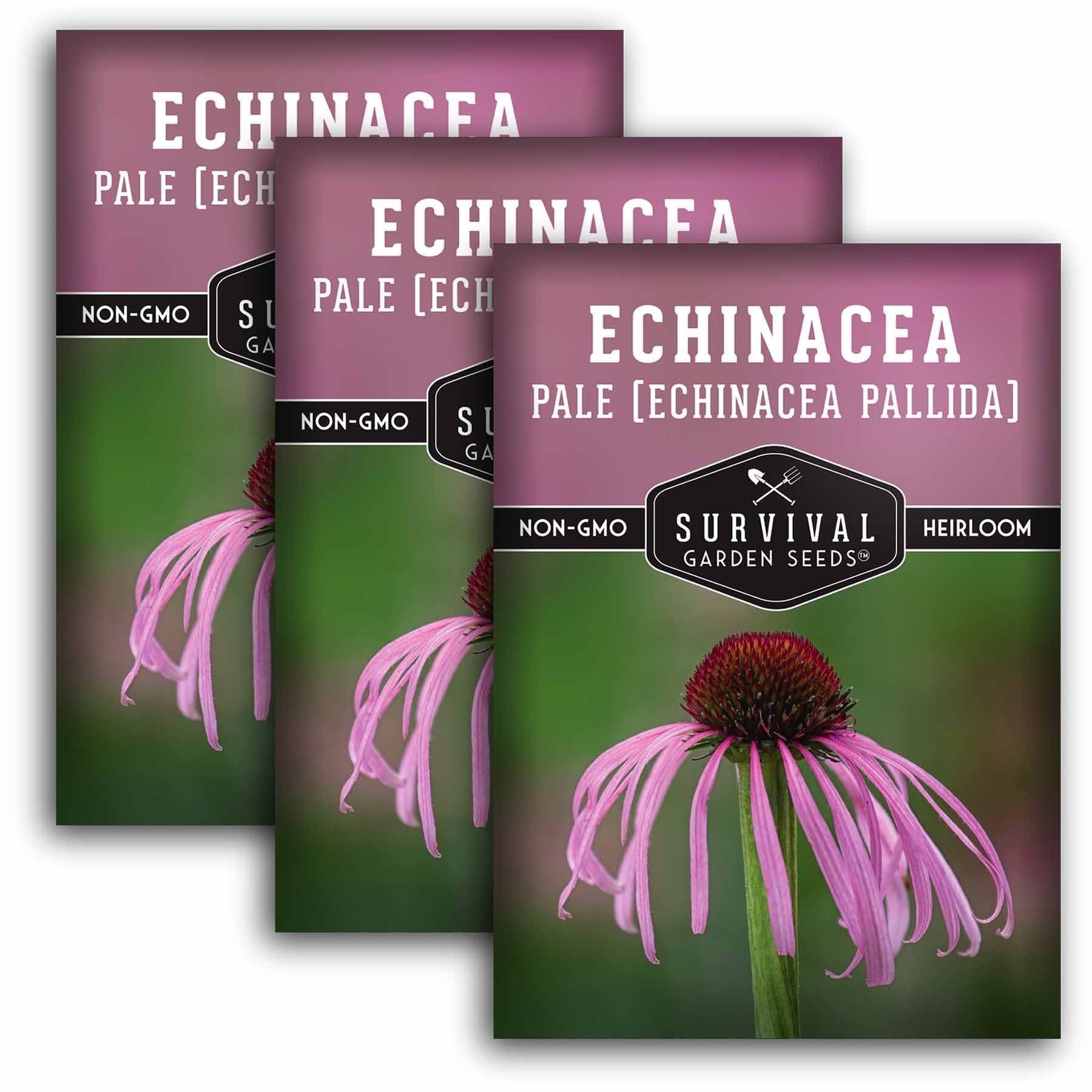 3 packs Pale Coneflower Seed - Pink Echinacea Pallida - Non-GMO ...