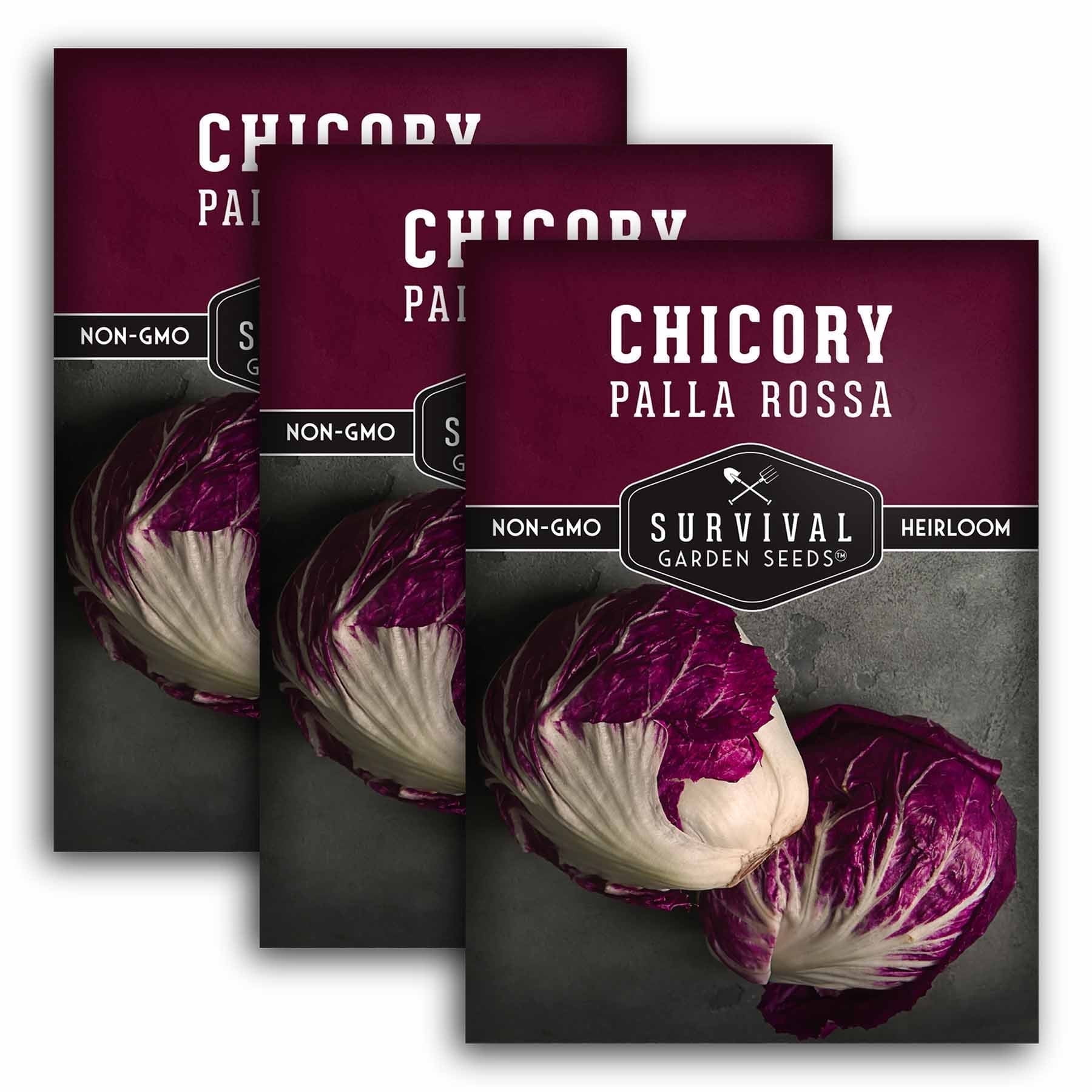 3 Packs Palla Rossa Chicory Seeds - Non-GMO Heirloom Perennial Full Sun ...