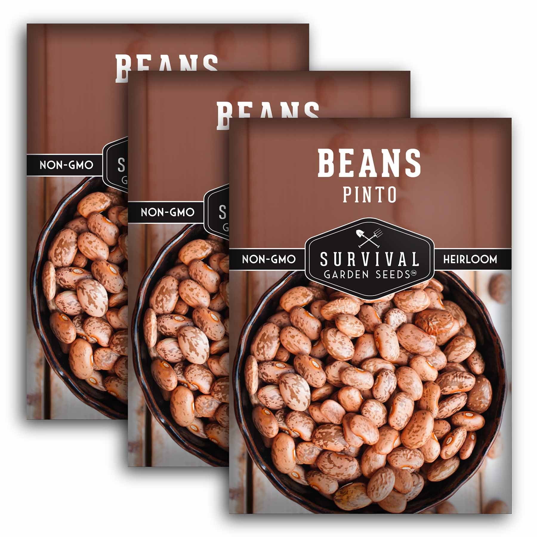 3 packs Pinto Bean Seeds - Mottled / Peruano Beans - Non-GMO Heirloom ...