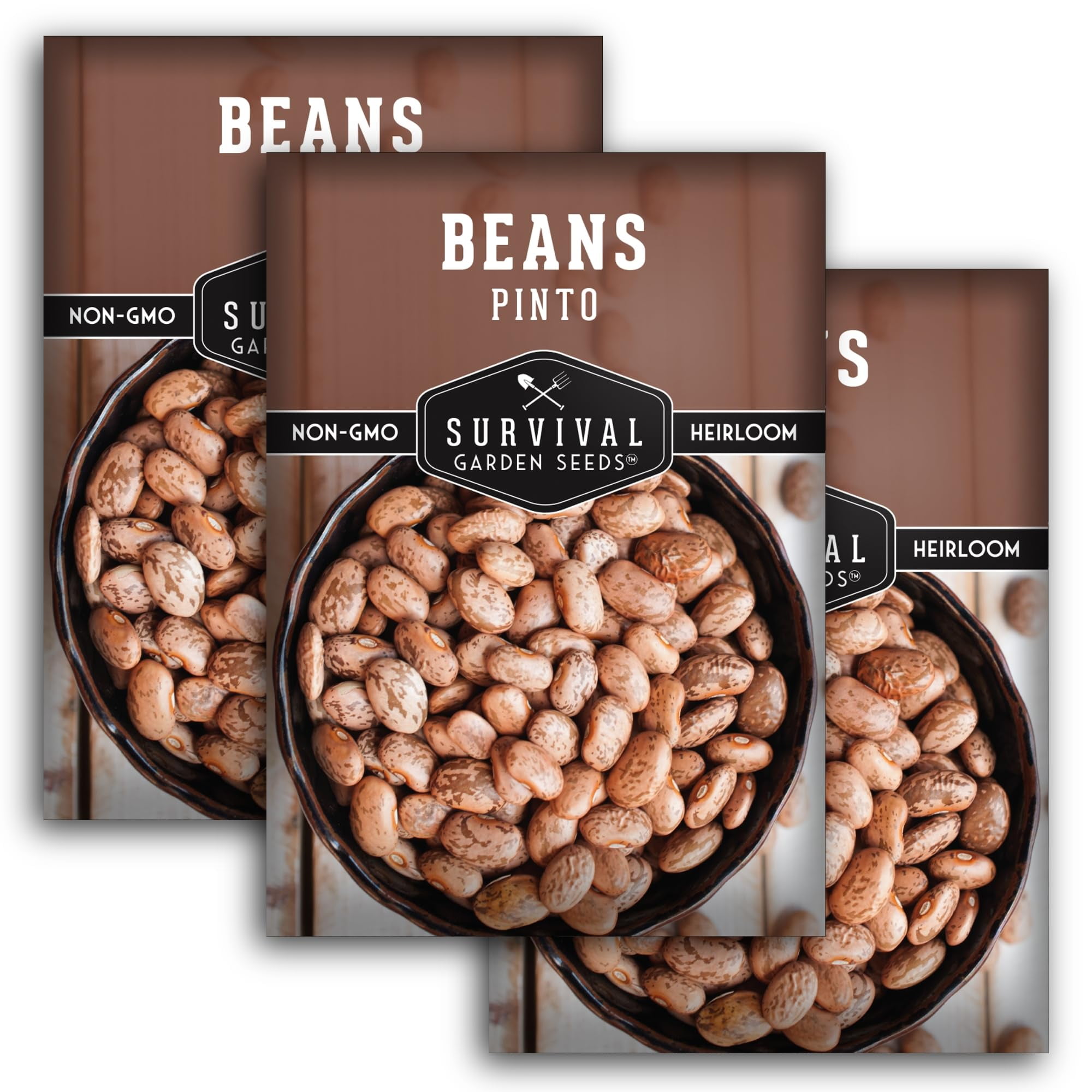 3 Packs Pinto Bean Seeds - Mottled / Peruano Beans - Non-GMO Heirloom ...