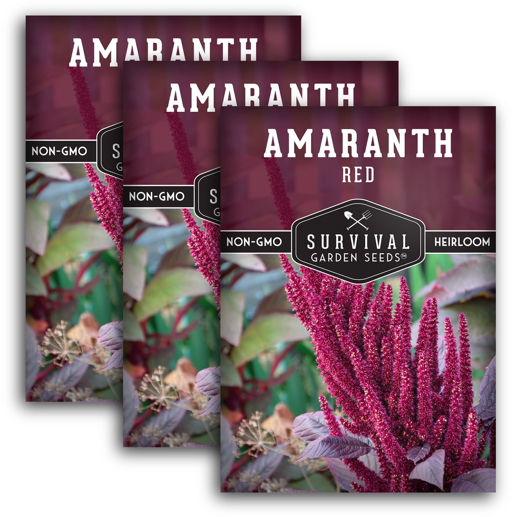 3 packs Red Amaranth Seeds - Non-GMO Heirloom Full Sun Annual Vegetable ...