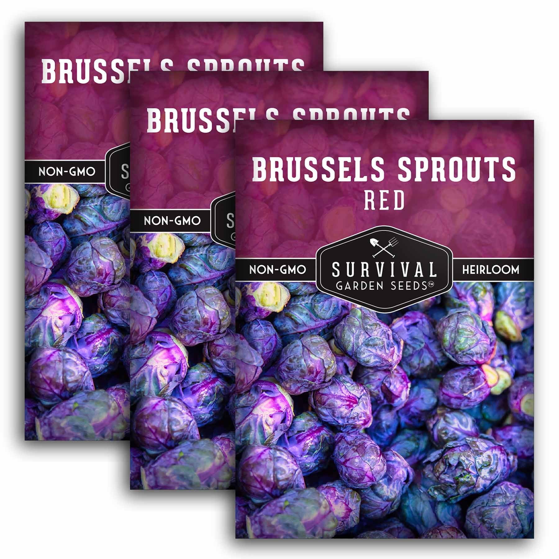 3 Packs Red Brussels Sprouts Seed - Brassica - Non-GMO Heirloom Biennial Full Sun - Walmart.com