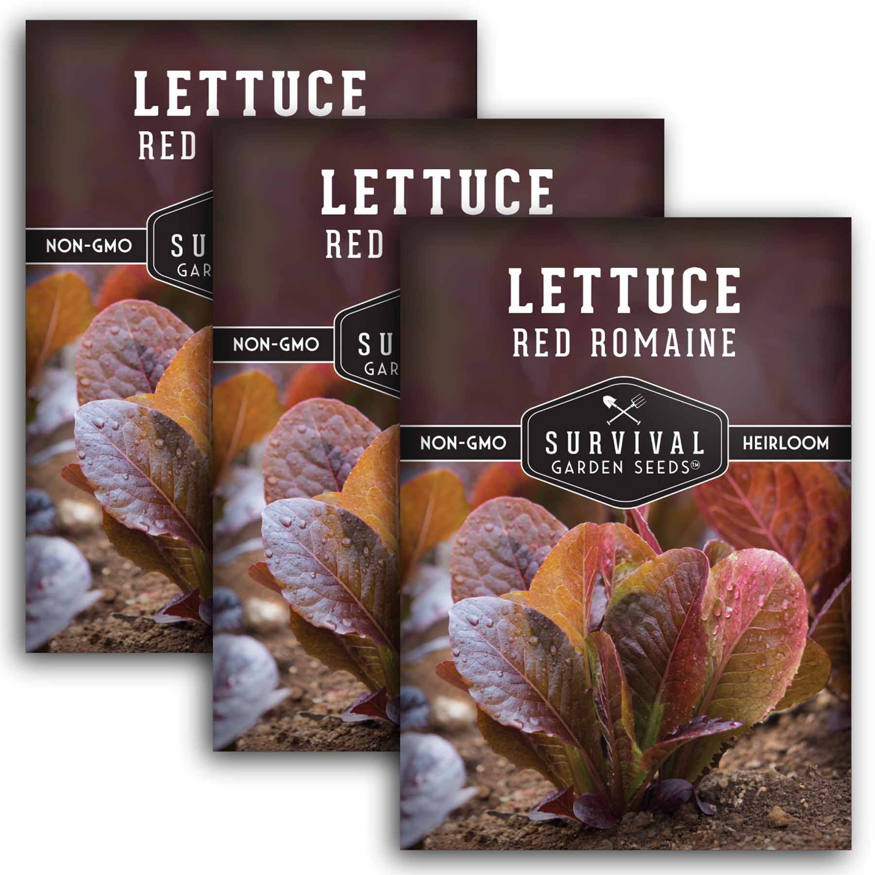 Survival Garden Seeds, Red Romaine Lettuce Seeds, 3pk, Non-GMO ...