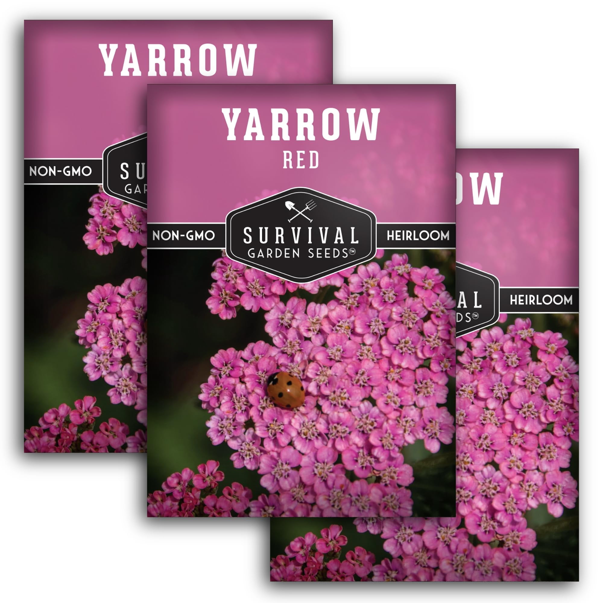 Survival Garden Seeds - 3 Packs Red Yarrow Flower Seeds - Non-GMO ...