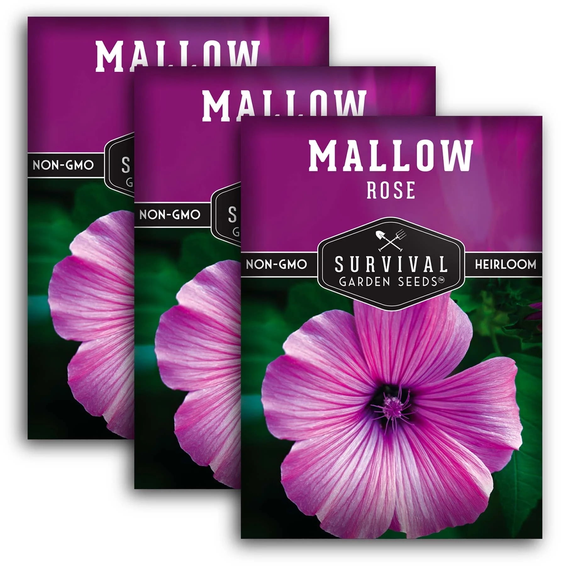 3 Packs Rose Mallow Seeds - Heirloom Full Sun Perennial Flower ...