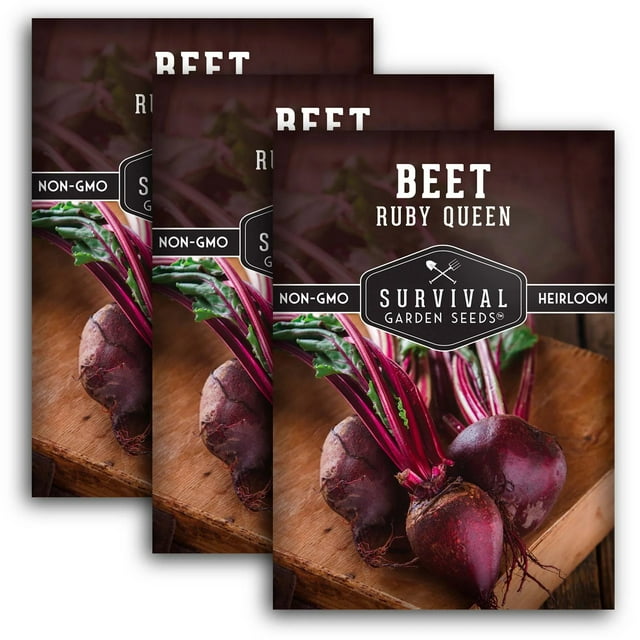 3 Packs Ruby Queen Red Beet Seed - Non-GMO Heirloom Full Sun Biennial ...