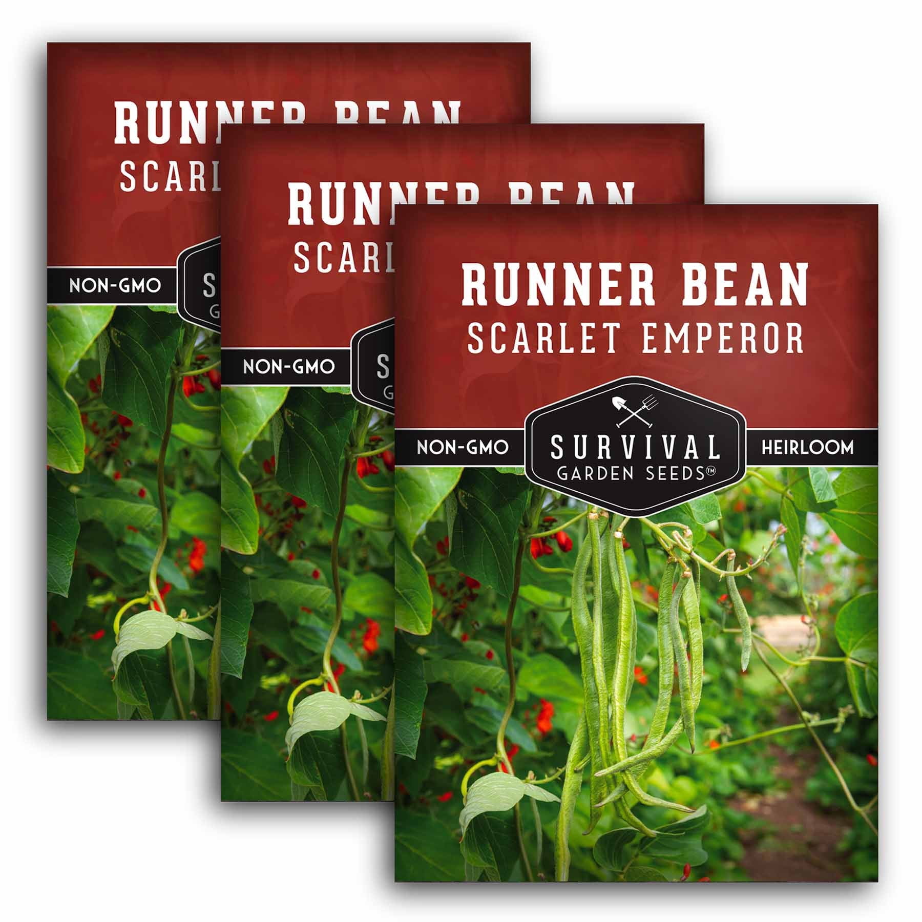 3 Packs Scarlet Emperor Runner Bean Seeds - Non-GMO Heirloom Annual ...