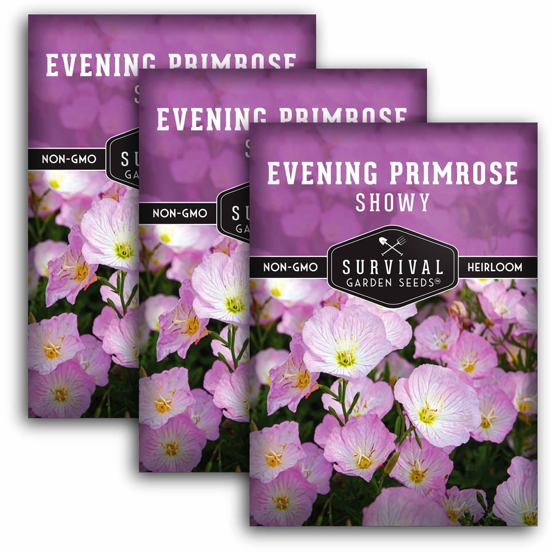 3 Packs Showy Evening Primrose Seed for Planting - Mexican Primrose ...