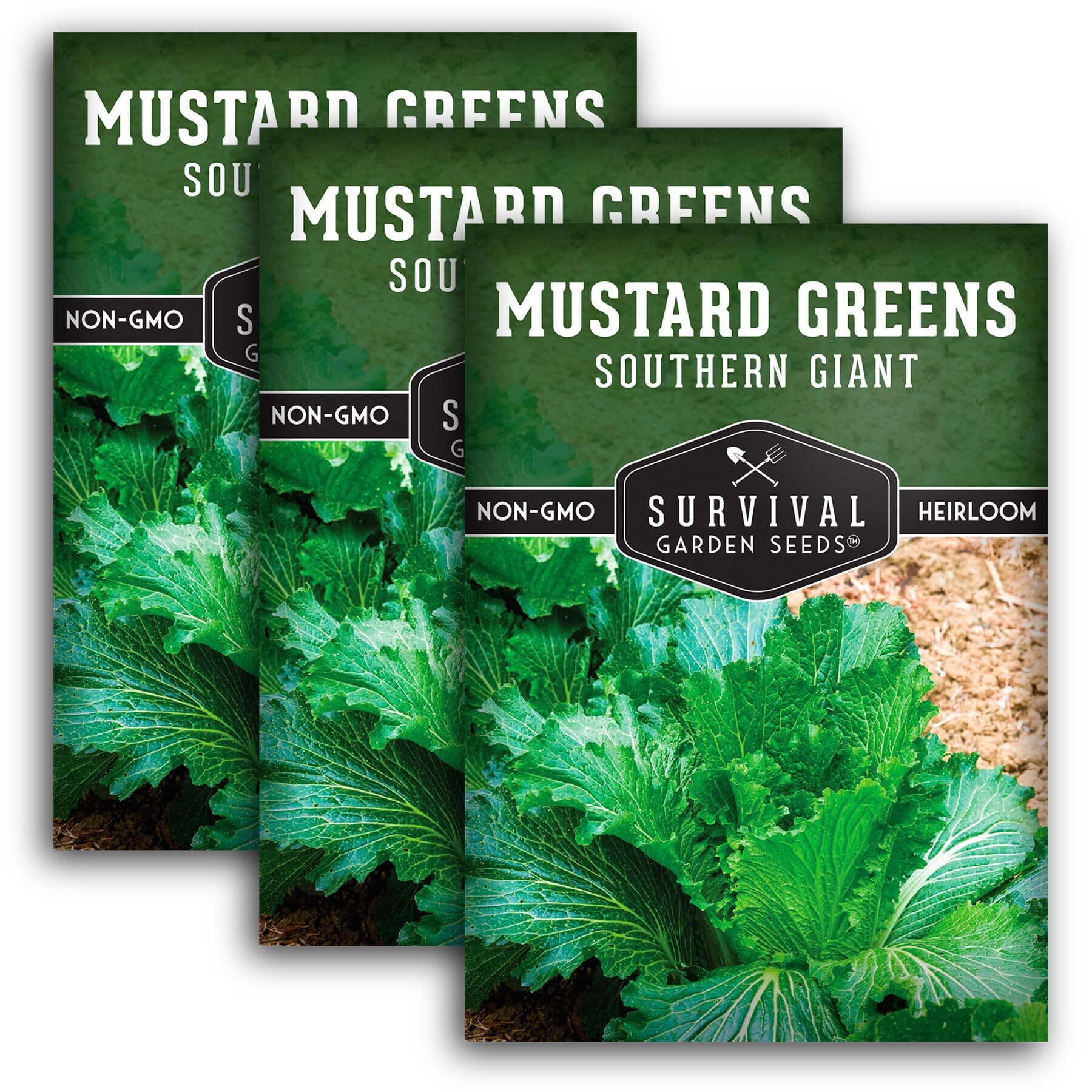 3 Packs Southern Giant Mustard Greens Seed for Planting Garden - Non ...