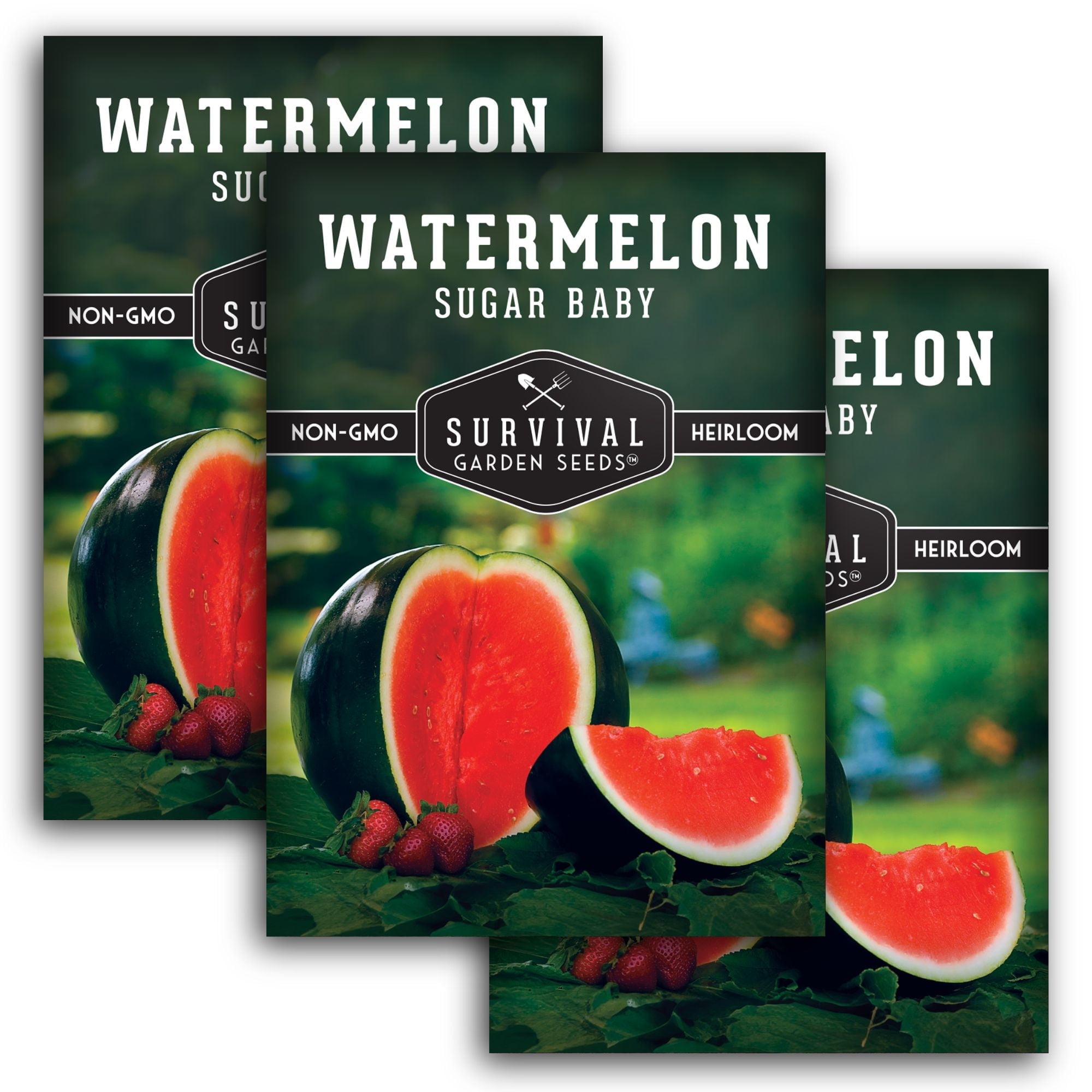 3 Packs Sugar Baby Watermelon Seed - Non-GMO Heirloom Full Sun Annual ...