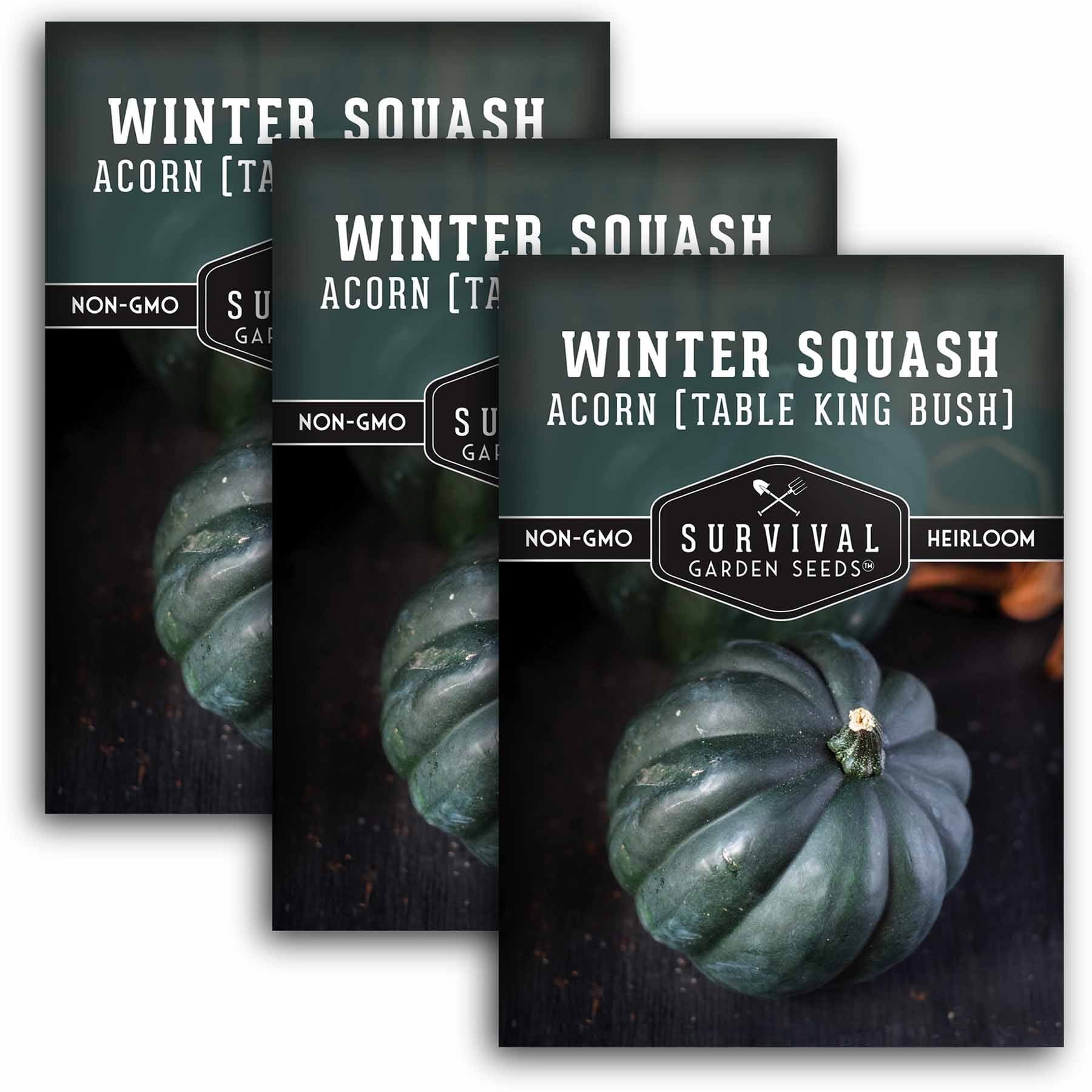 3 Packs Table King Acorn Squash Seeds - Heirloom Annual Full Sun ...
