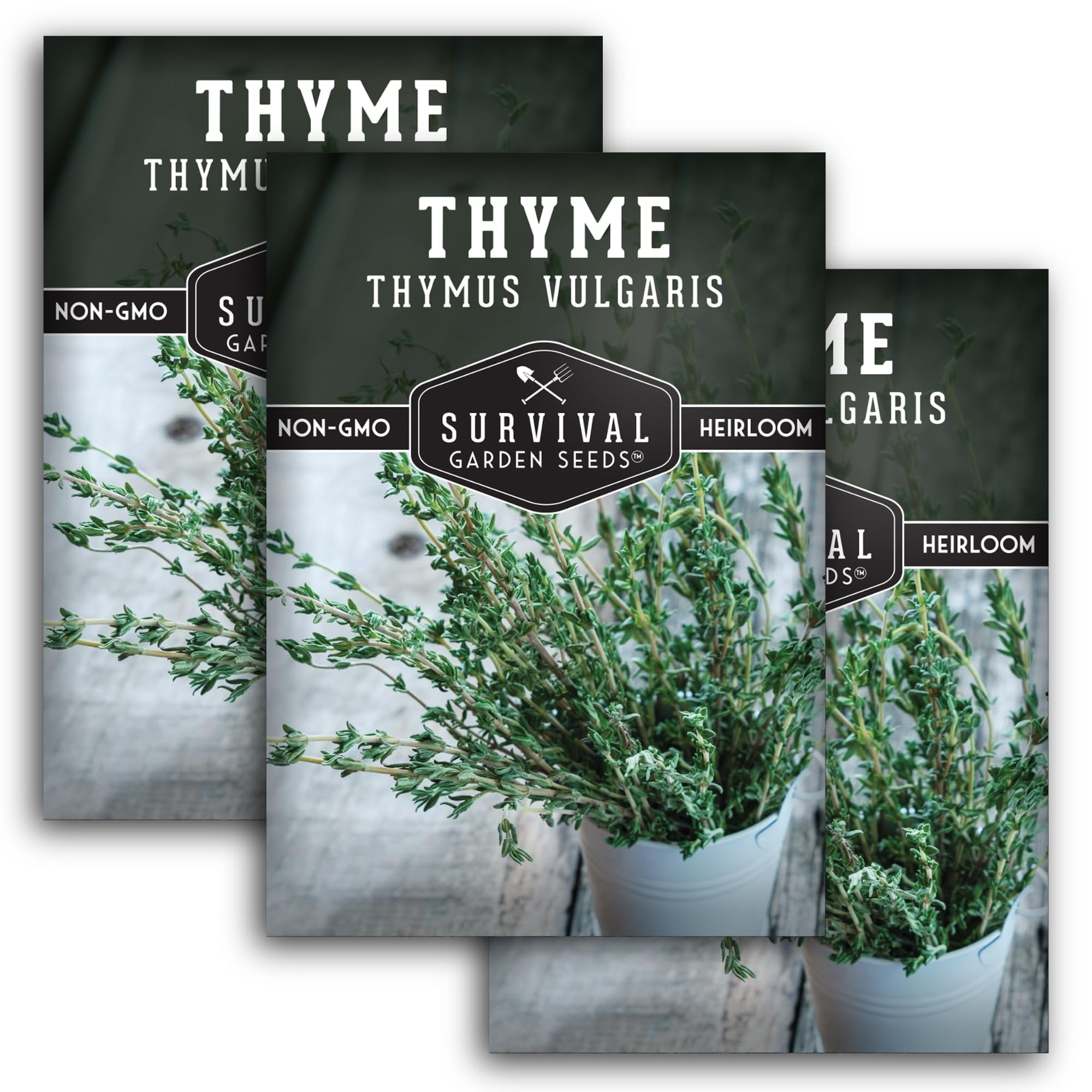 3 Packs Thyme Seeds - Non-GMO Heirloom Full Sun Perennial Herb ...