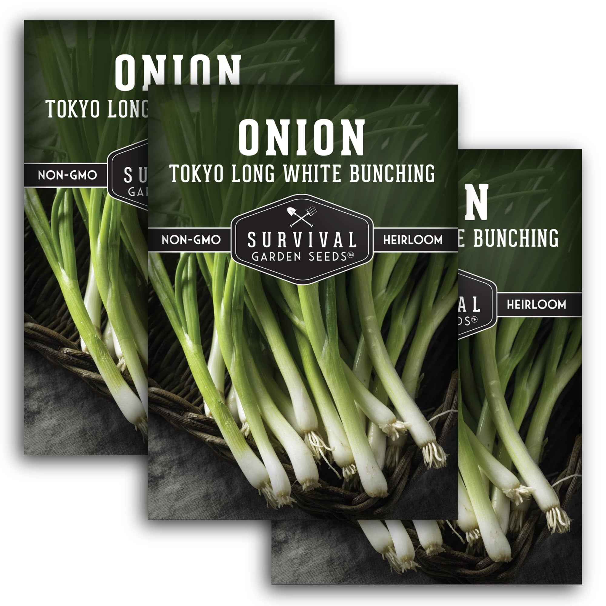 3 Packs Tokyo Long White Onion Seeds - Non-GMO Heirloom Full Sun ...