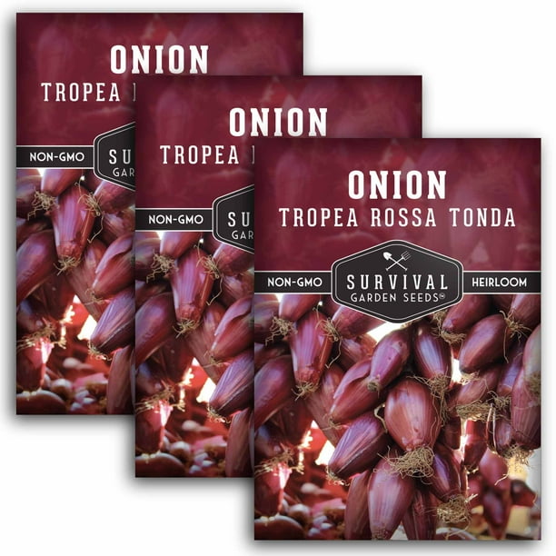 3 Packs Tropea Rossa Tonda Onion Seeds - Italian Long-Day Onions - Non ...
