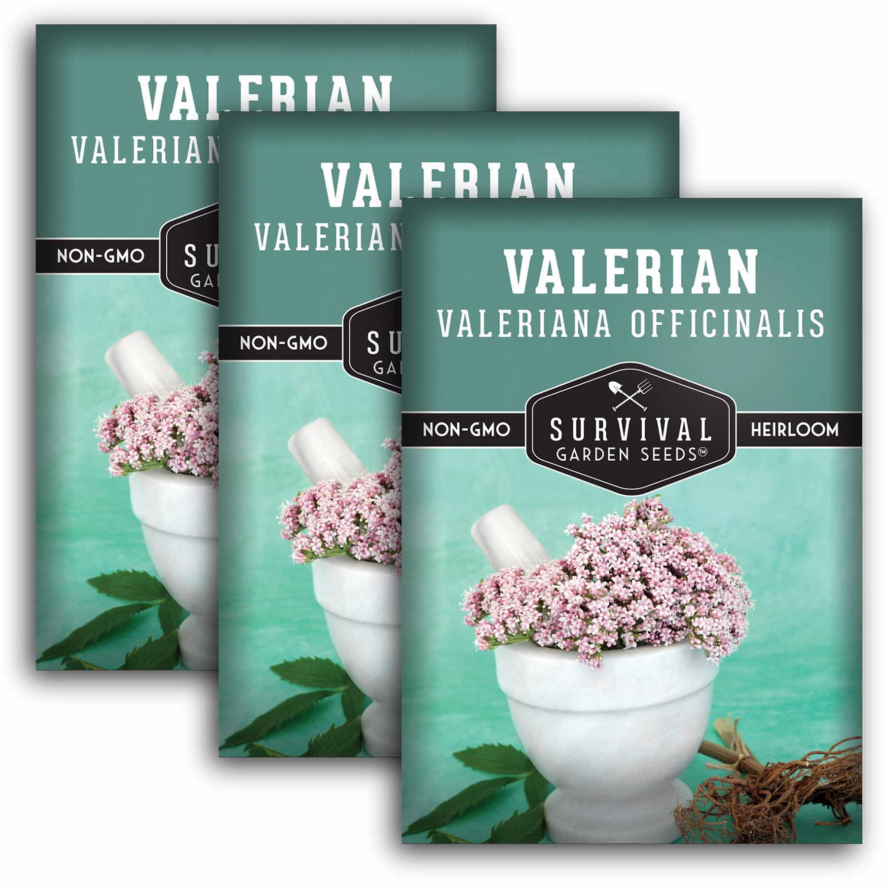 3 packs Valerian Seeds - Non-GMO Heirloom Perennial Full Sun Herb ...