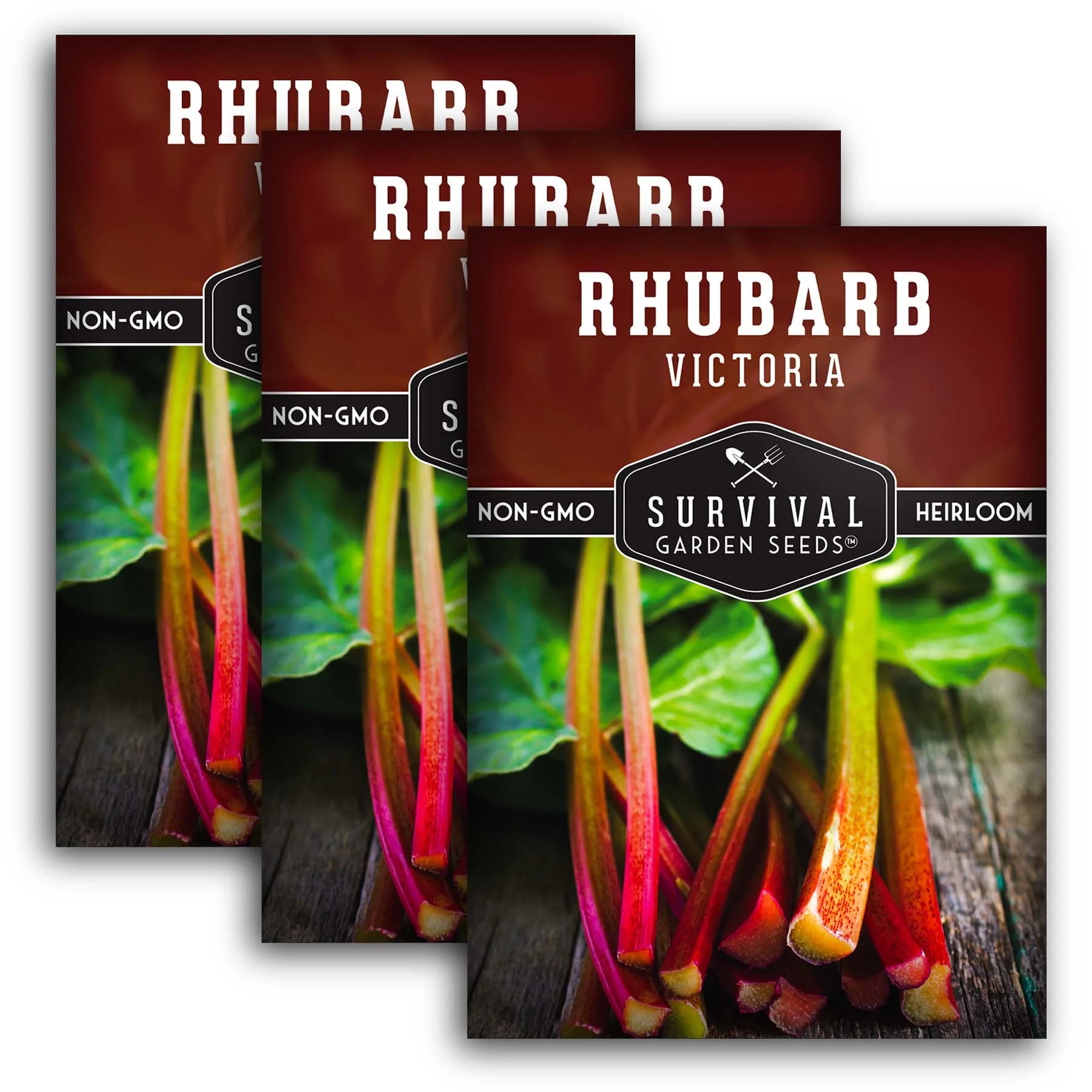 3 Packs Victoria Rhubarb Seeds - Non-GMO Heirloom Full Sun Perennial ...