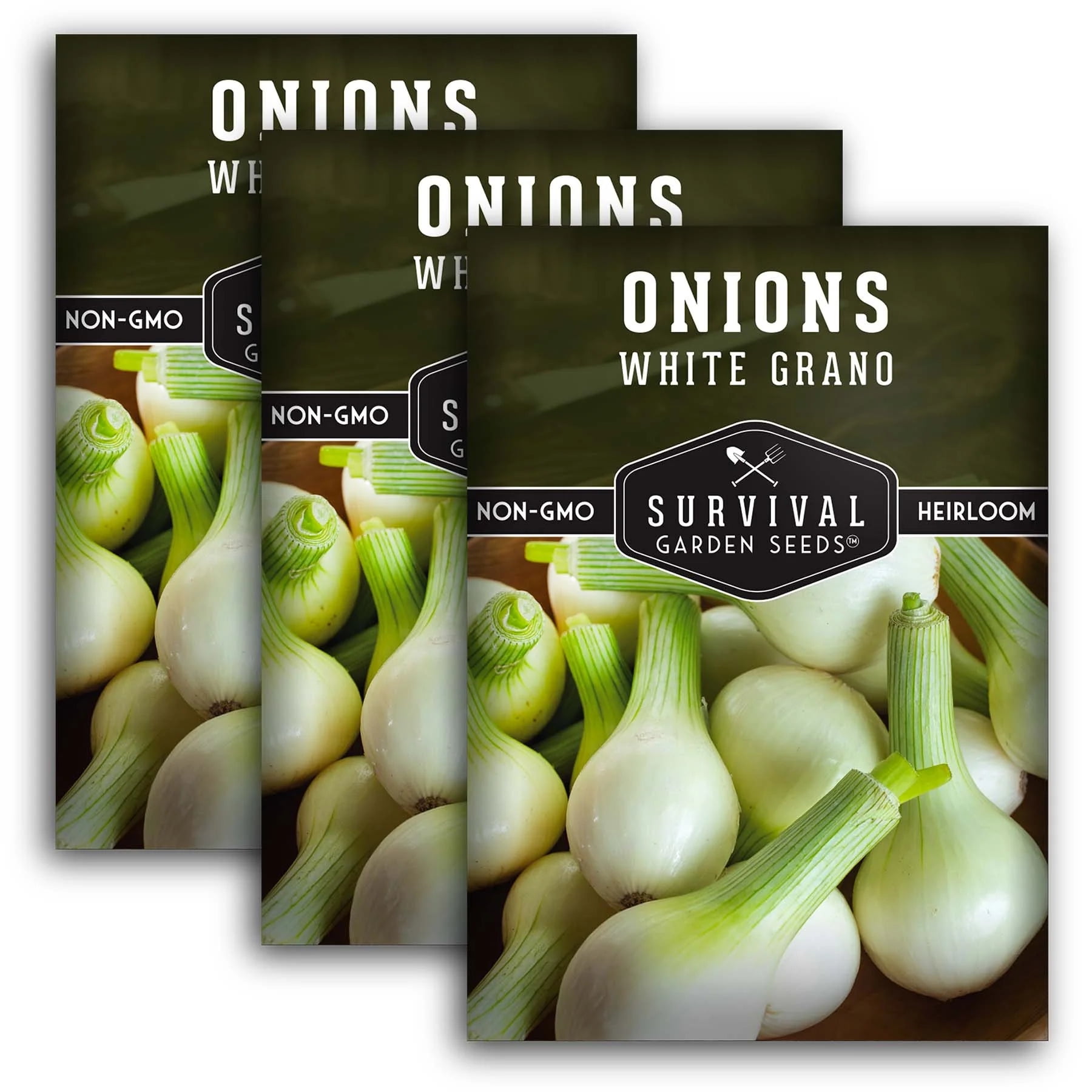 3 Packs White Grano Onion Seeds - Non-GMO Heirloom Full Sun Biennial ...
