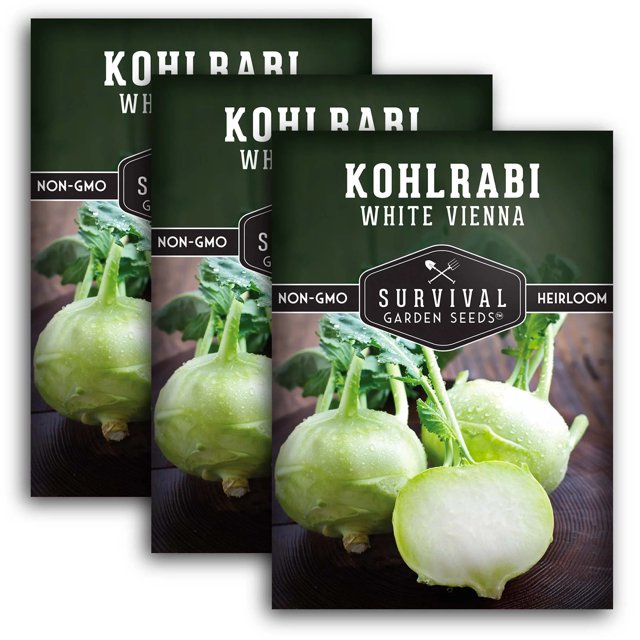 3 Packs White Vienna Kohlrabi Seed - Non-GMO Heirloom Full Sun Biennial ...