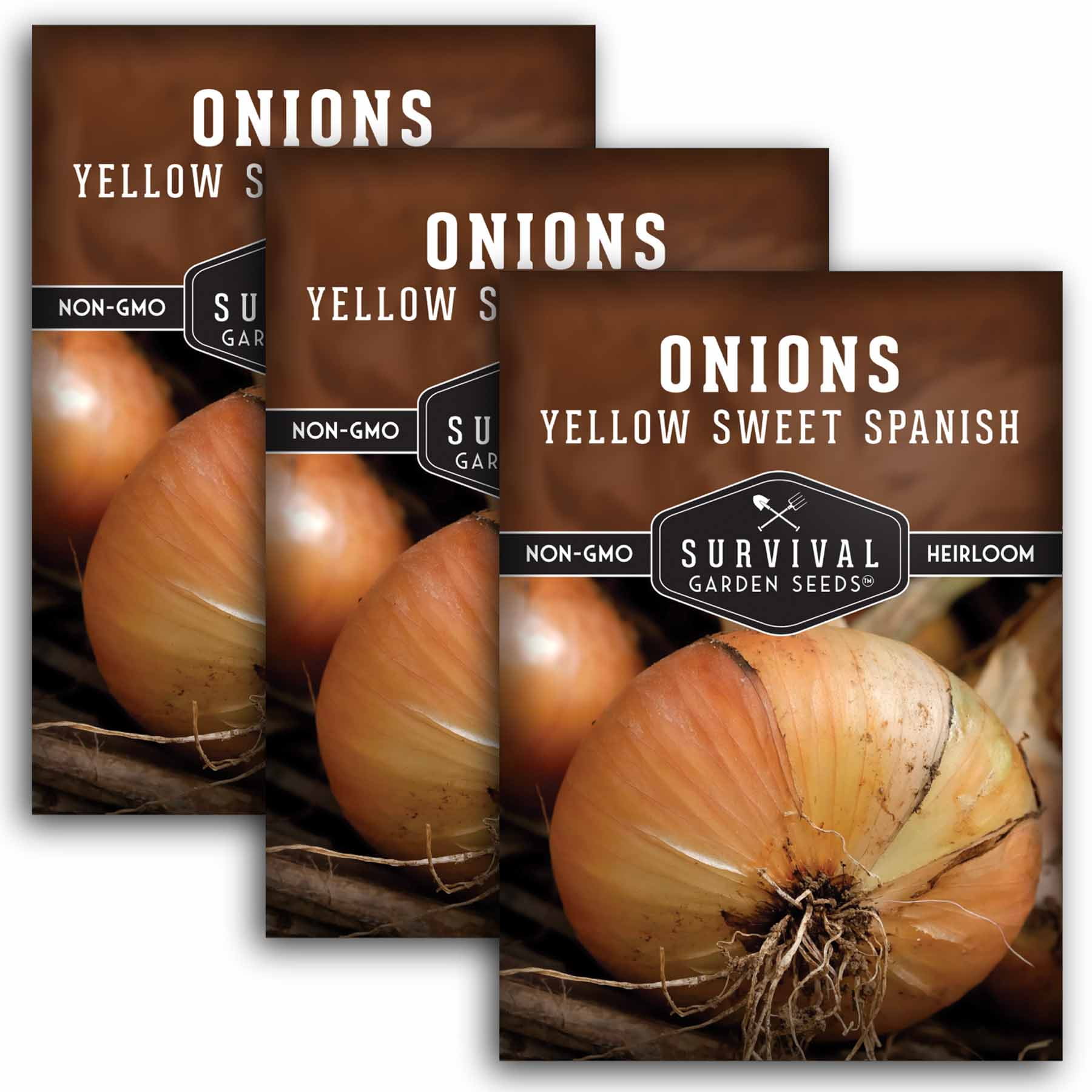 3 packs Yellow Sweet Spanish Onion Seed - Long-Day Onions - Non-GMO ...