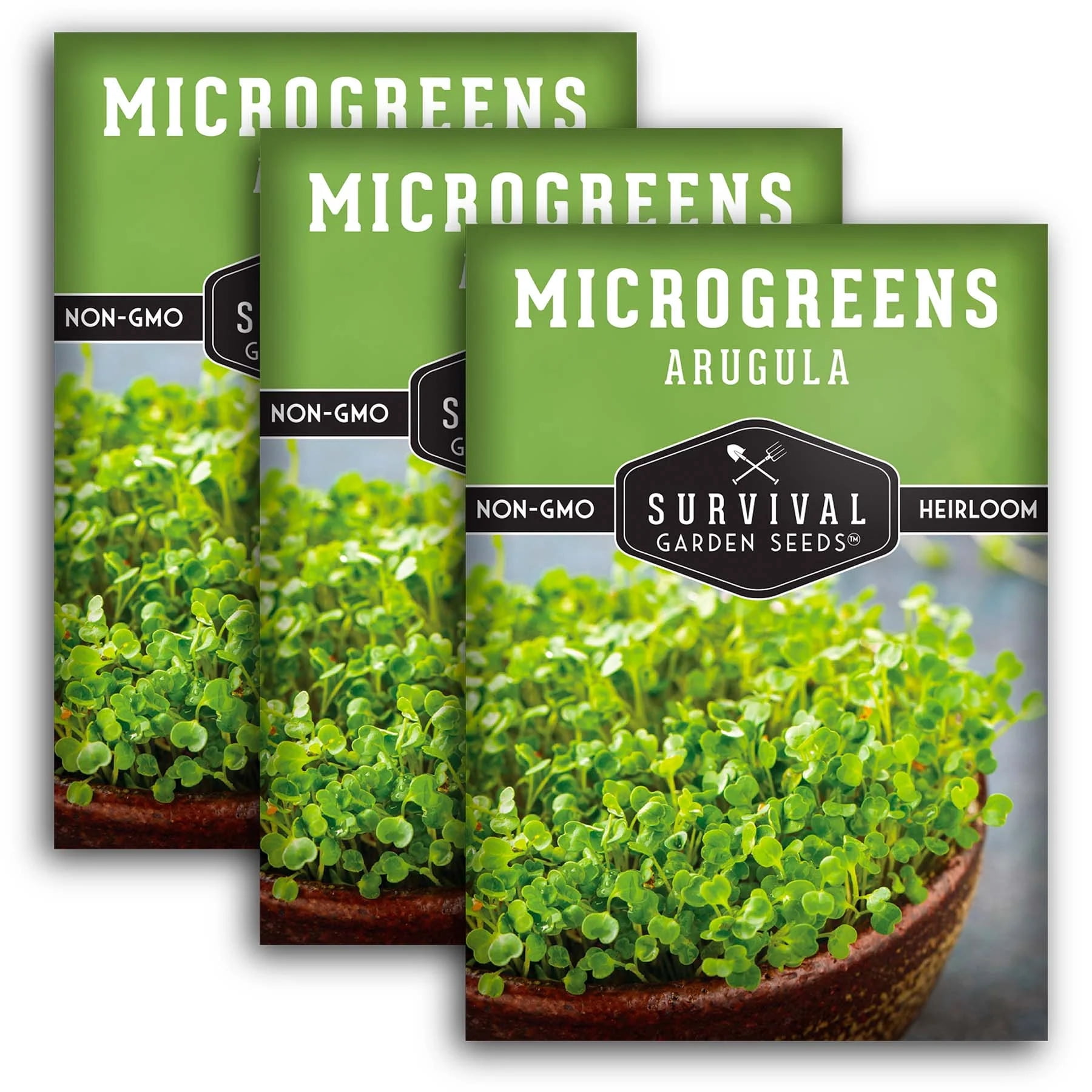 3 Packs of Arugula Seed for Microgreens - Non-GMO Heirloom Full Sun ...