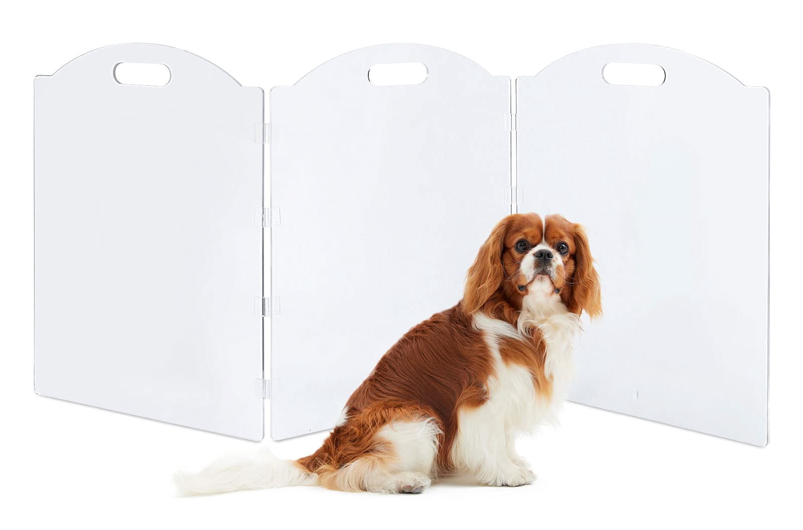 3 Panel - 60''W x 24''H Freestanding Clear Pet Gate For Indoor Stairs ...
