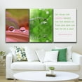 3 Panel Dew on The Tip of Leaf with Inspirational Quotes Gallery 24 x36 ...