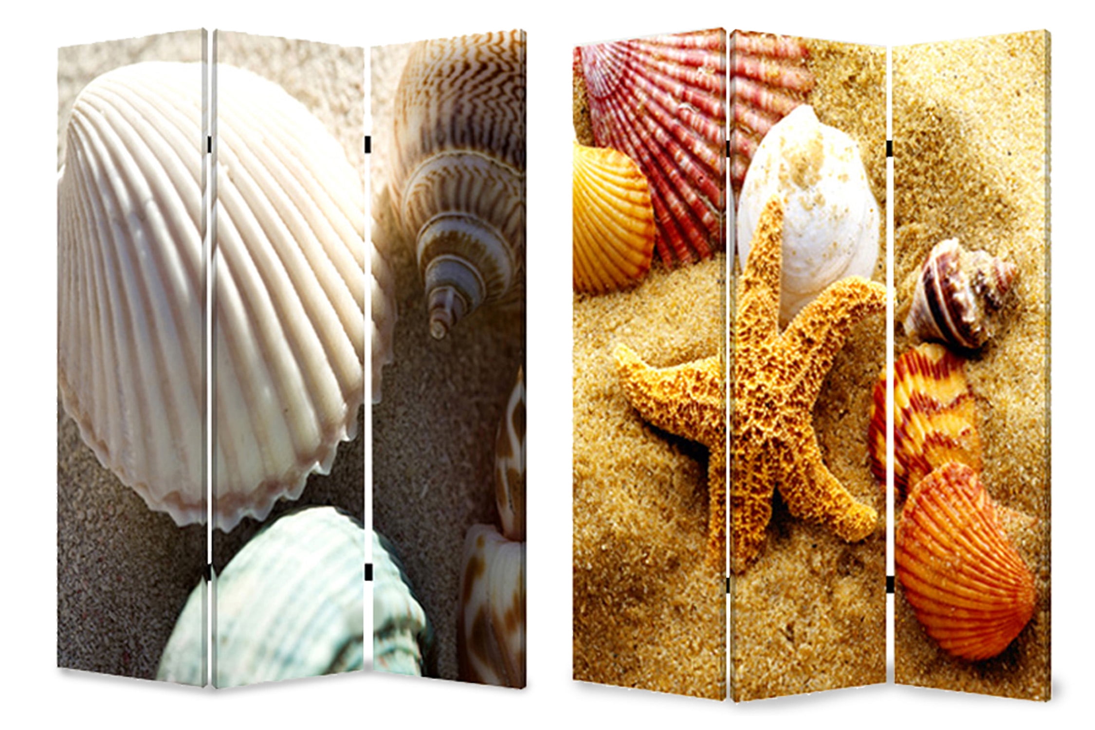 3 Panel Foldable Canvas Screen with Seashell Print, Brown and White ...