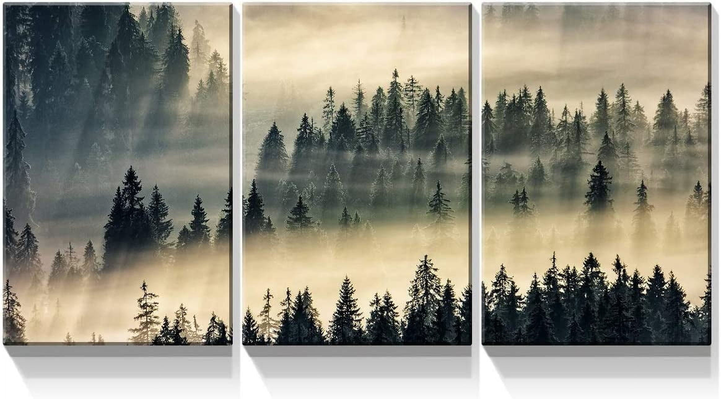 3 Panels Canvas Wall Art Misty Forests of Evergreen Coniferous Trees in ...