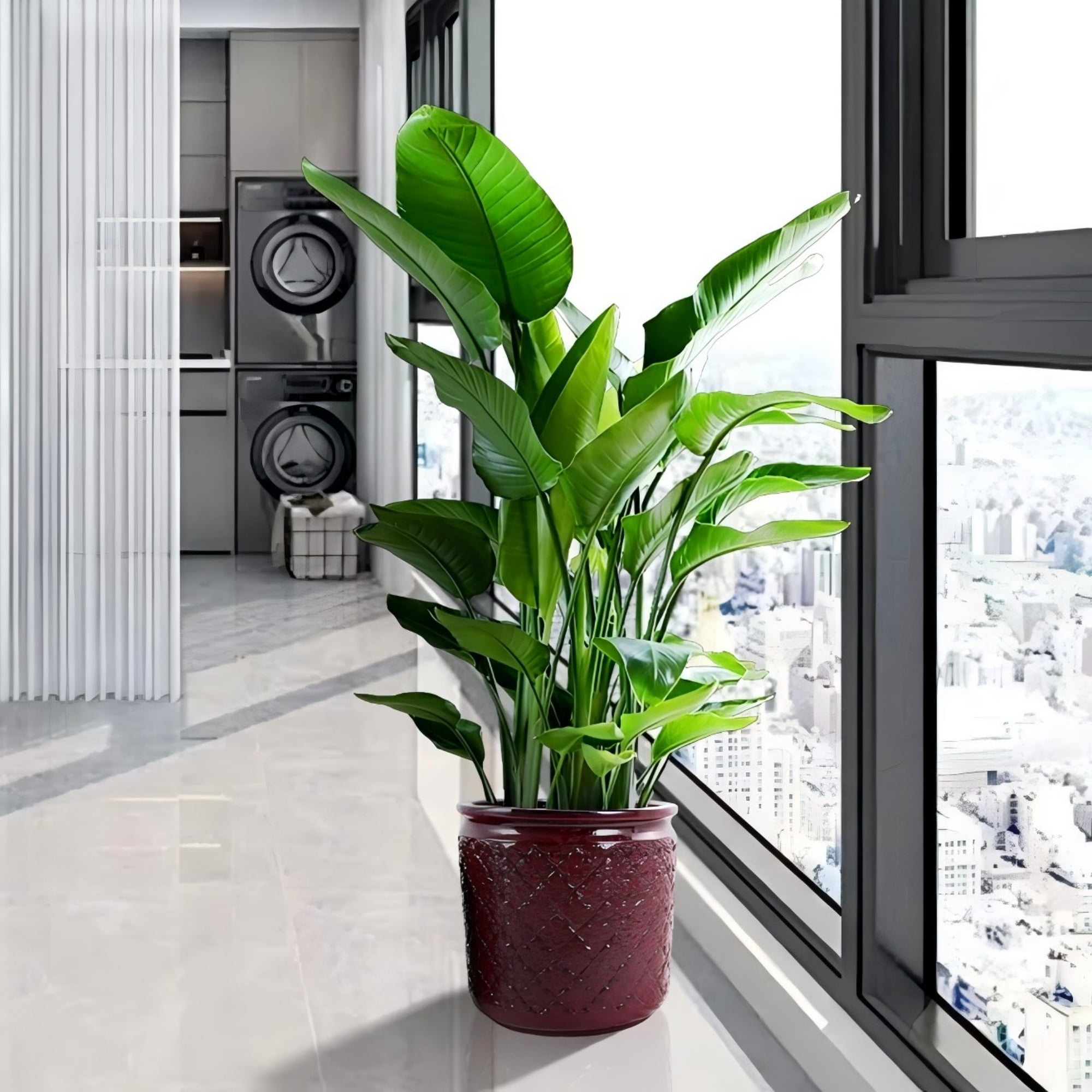 3 Pc Modern Ceramic Flowerpot Set | Glossy Bean Paste Red Planters | 15 ...