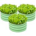 3 Pcs 2x2x1ft Round Galvanized Raised Garden Bed Kit Outdoor, Metal ...