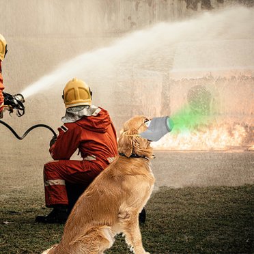 Breathable Dog Air Filter Mask 3-Pack, Adjustable Reusable Dog ...