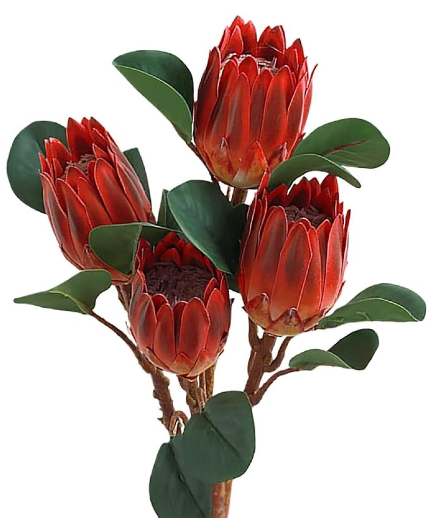 3 Pcs Artificial King Protea Stems, Real Touch Fake King Protea Flowers ...