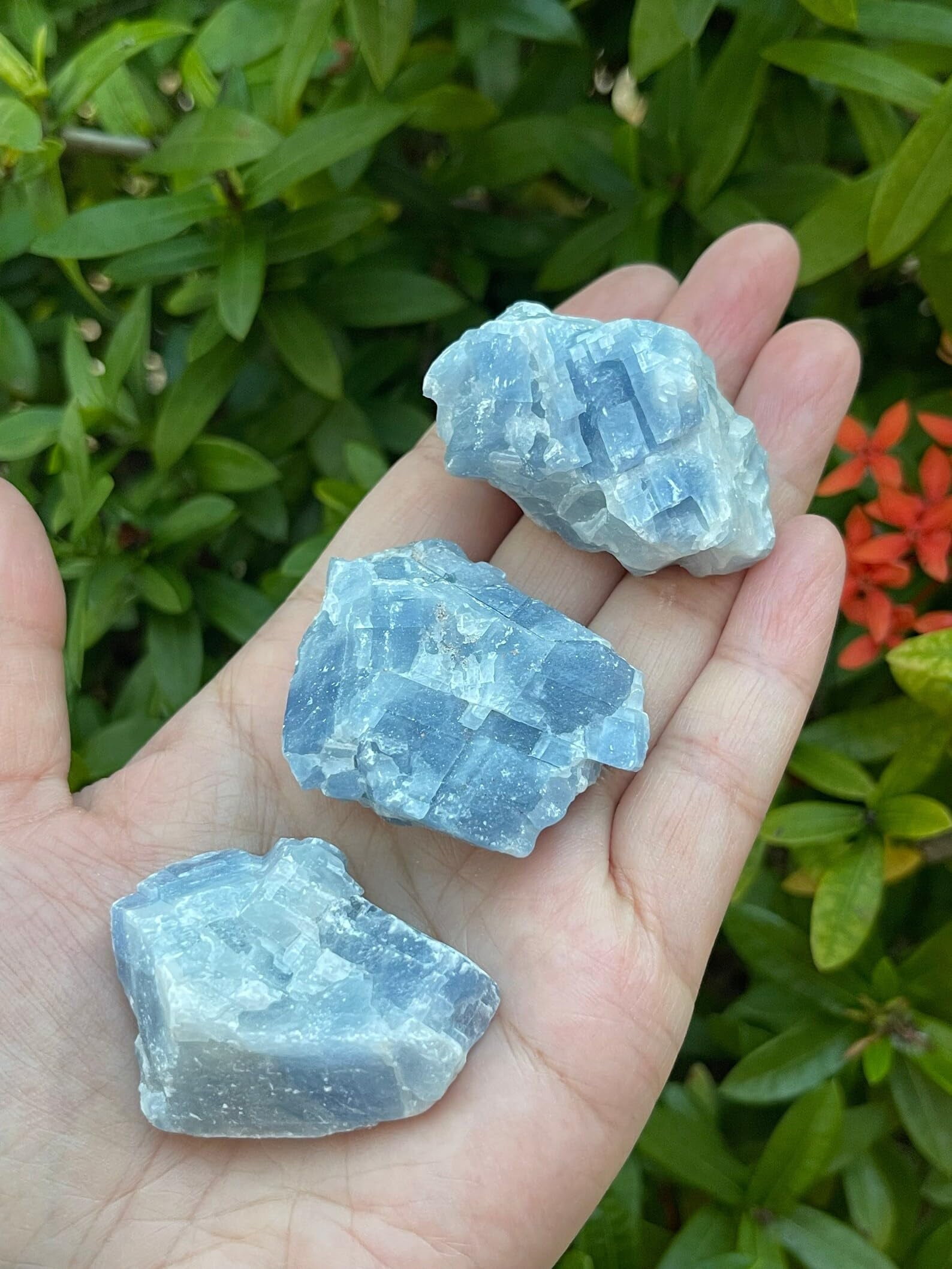 3 Pcs Blue Calcite Rough Natural Stones, Raw Calcite Crystals (Blue ...
