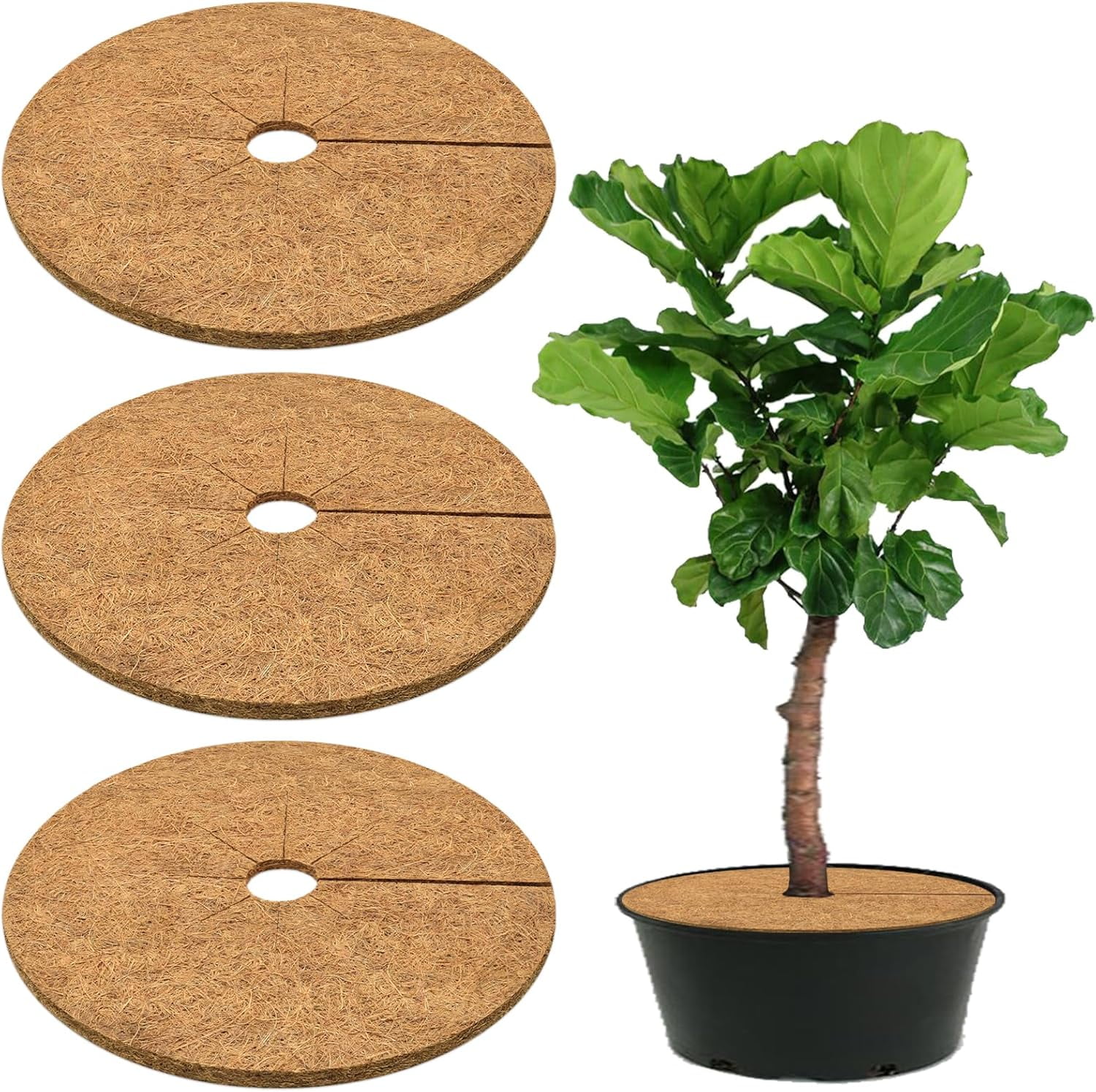 3 Pcs Coconut Fiber Mulch Ring, 30 Inch Coco Coir Tree Ring Mulch Mat ...