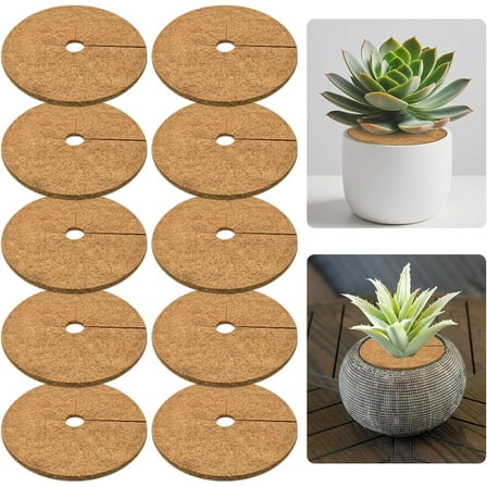 SuperMoss Moss Pot Toppers 10" 3/Pkg-Green - Walmart.com