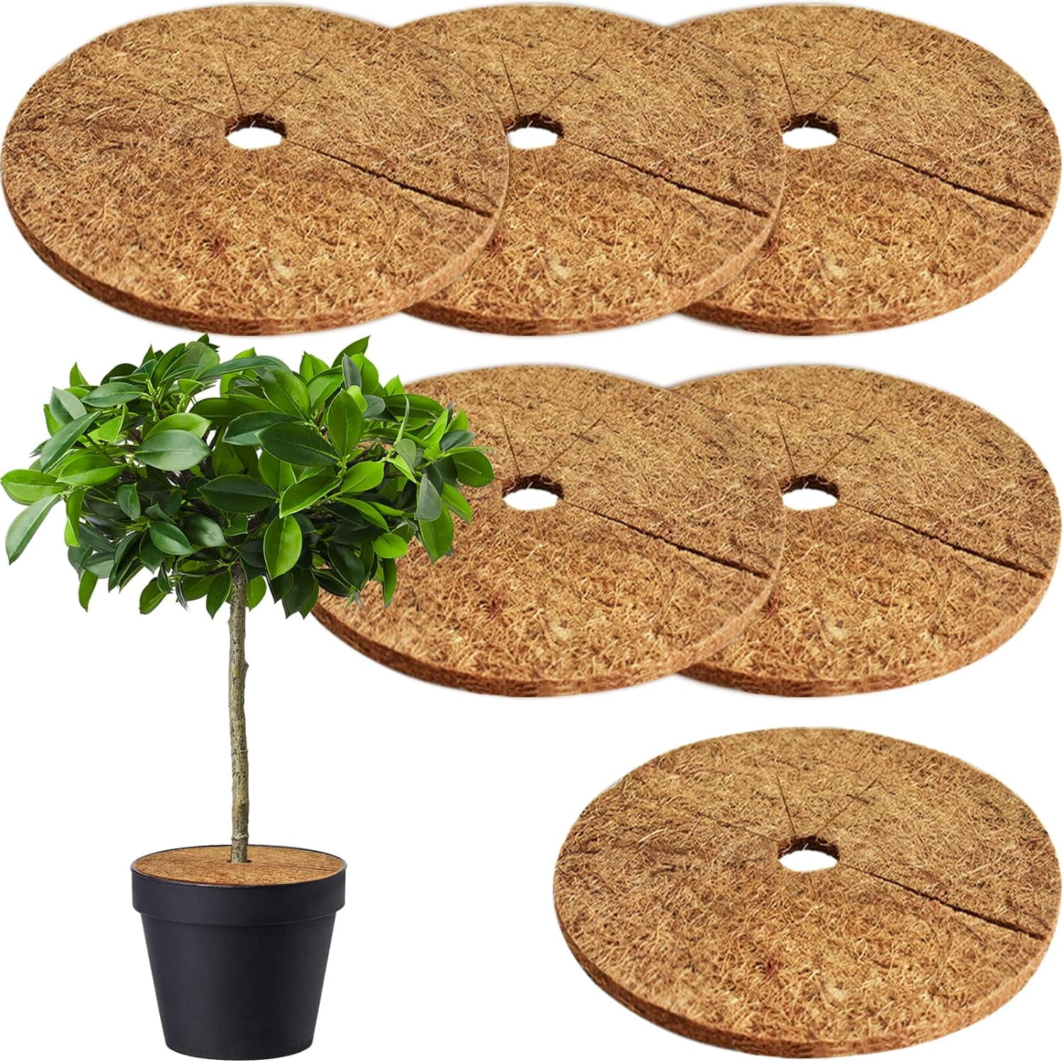 3 Pcs Coconut Fibers Mulch Ring Tree Protector Mat, 14 Inch Coco Coir ...