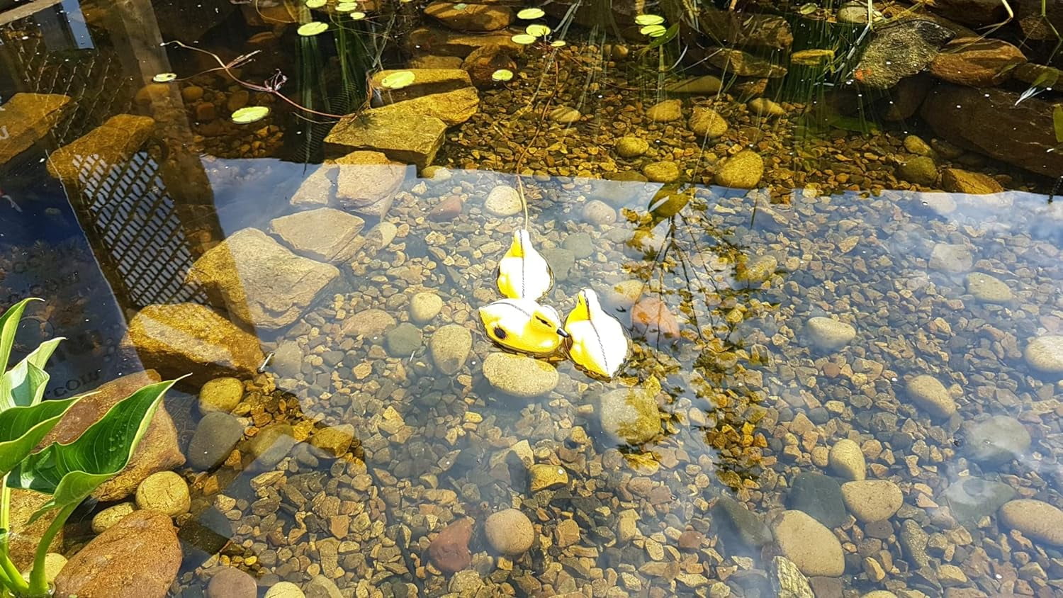 3 Pcs Floating Resin Yellow Duckling Pond Decoys, Plastic Duck Hunting ...