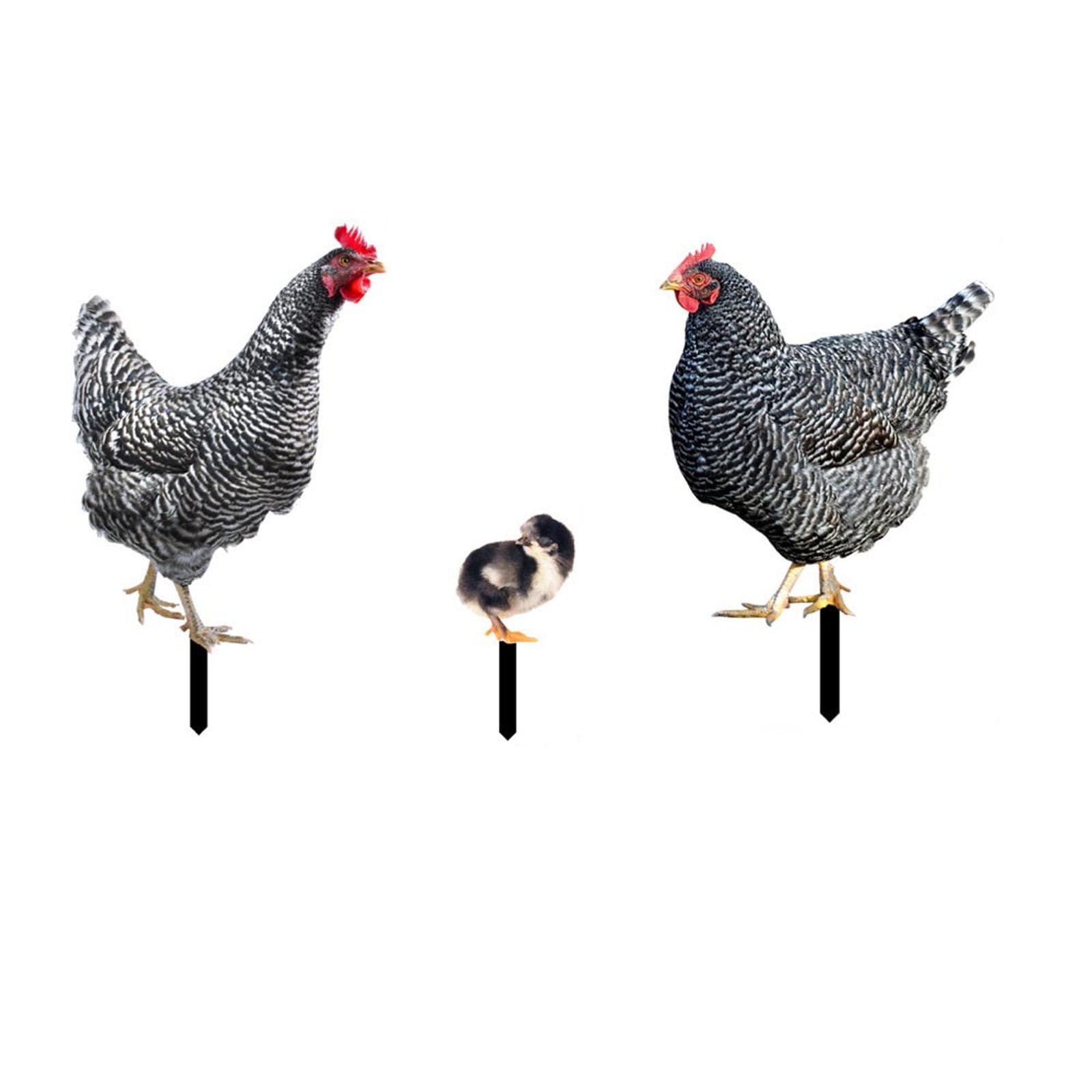 3 Pcs Funny Chicken Yard Decor - Realistic Farm Animal Garden Statue ...