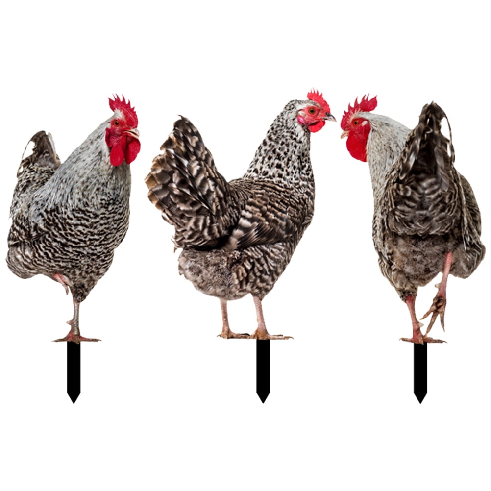 Adorable Animal Accessories Acrylic Garden Decor Plug-in Chicken Stake ...