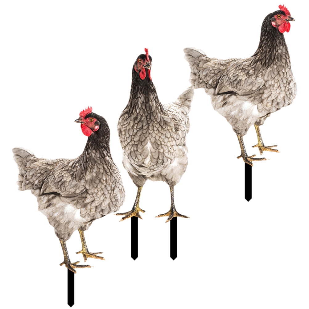 Realistic Acrylic Chicken Stake Decor for Garden Lawn Yard Ornament ...