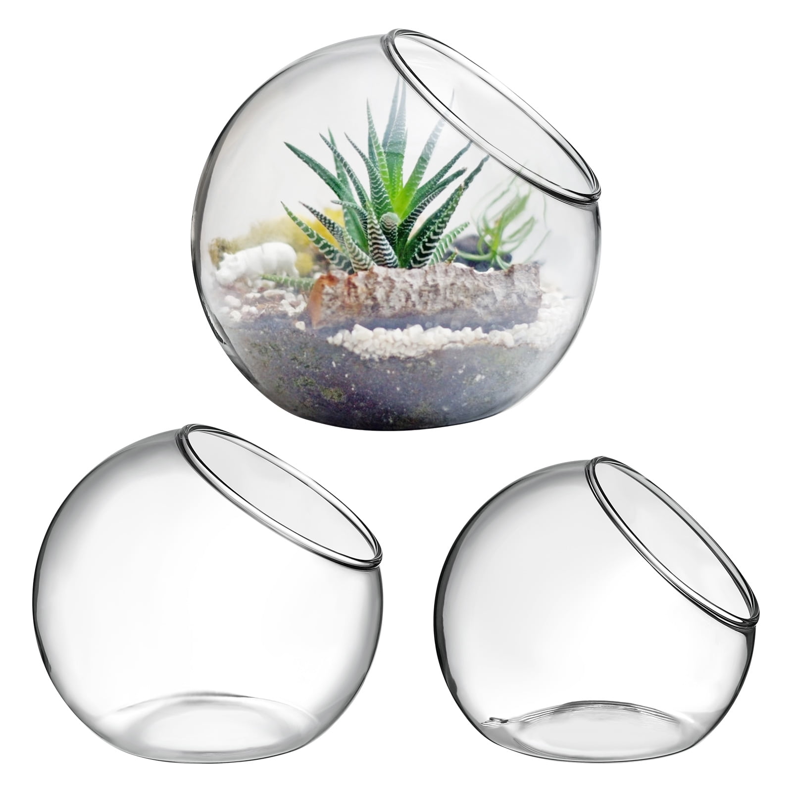 3 Pcs Glass Terrarium Containers Bowls Plant Decor Stand Goldfish Tank ...