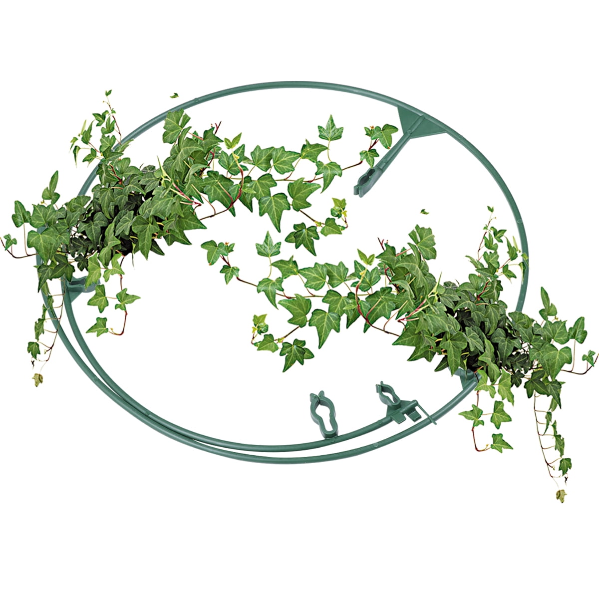 3 Pcs House Plants Fixing Plant Fixing Rack Gardening Avoid Plant ...