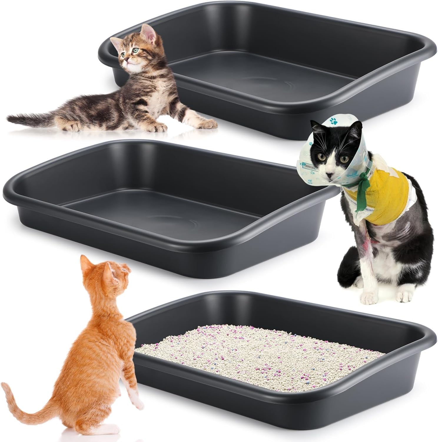 3 Pcs Low Entry Senior Cat Litter Box Large Size Pet Low Entry Open Top ...