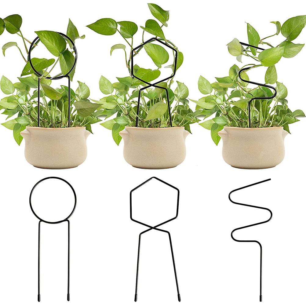 3 Pcs Metal Garden Trellis Climbing Plants Support Indoor Iron Plant ... 3 Pcs Metal Garden Trellis Climbing Plants Support Indoor Iron Plant ...