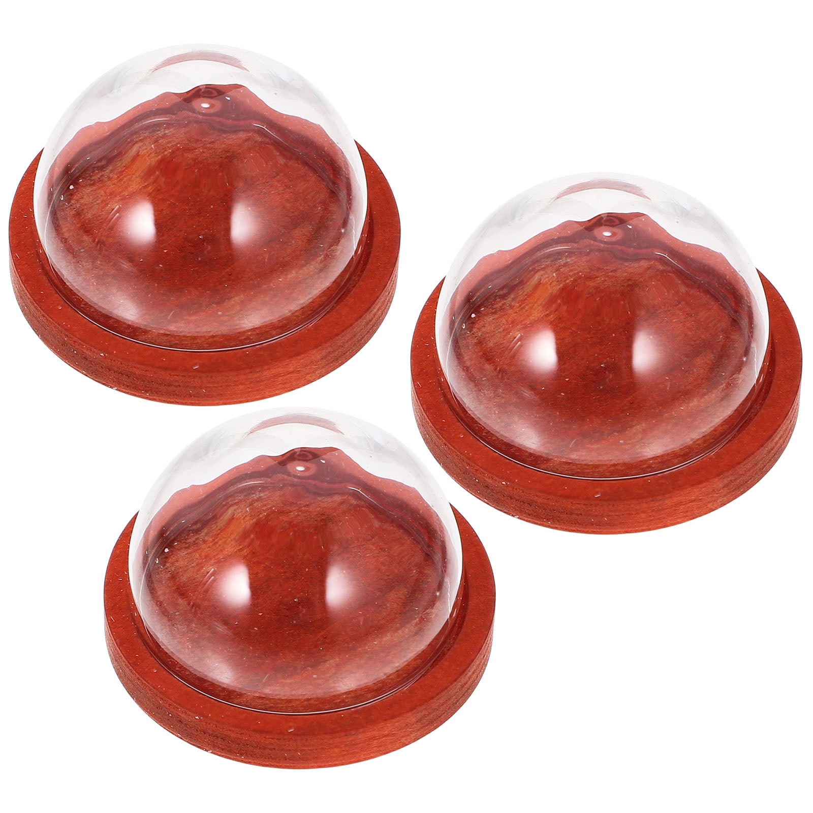 3 Pcs Mini Preserved Flower Cover Decor Glass Display Cloche Glass ...